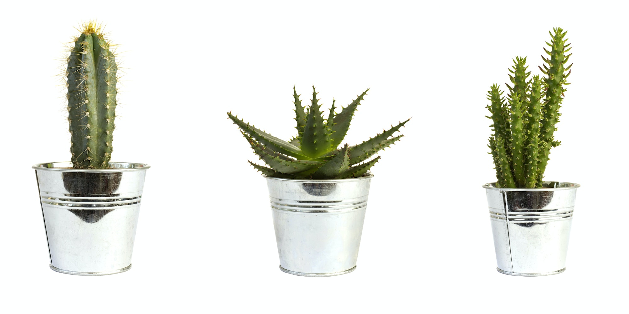 Square Cactus | Creative Agency Lancashire & Yorkshire